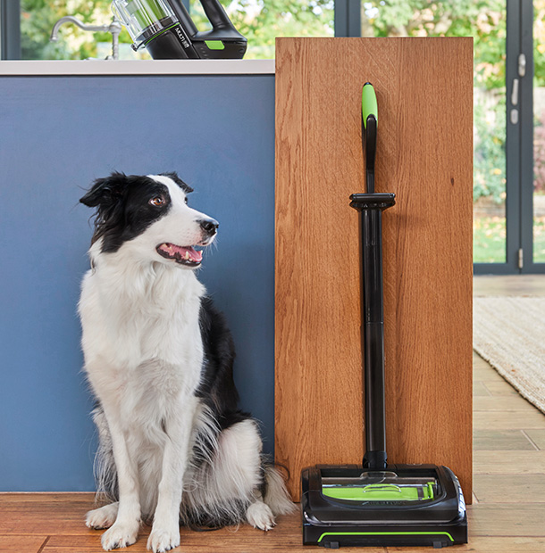 Gtech AirRam Multi K9 System | Gtech