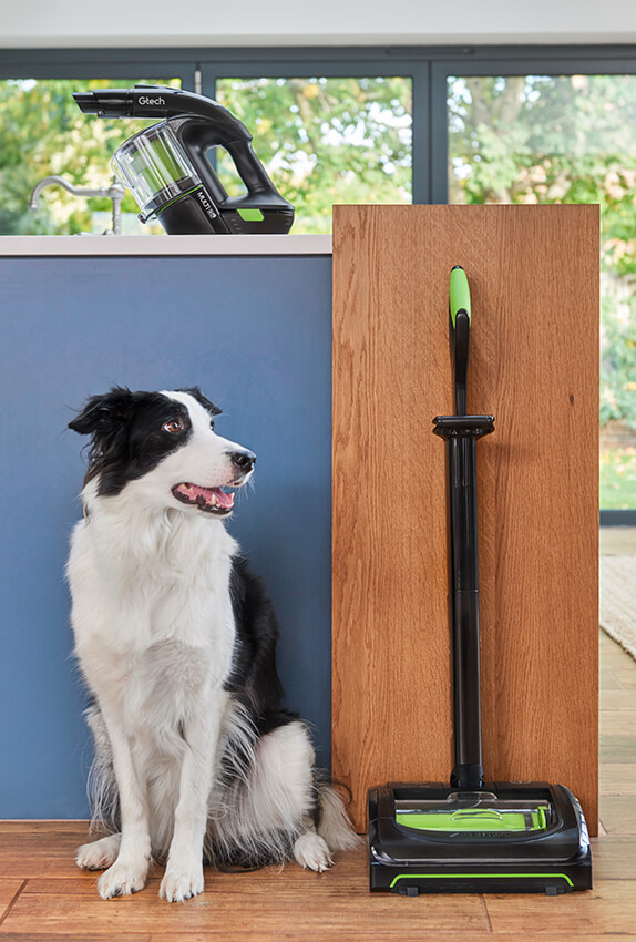 Gtech AirRam Multi K9 System | Gtech